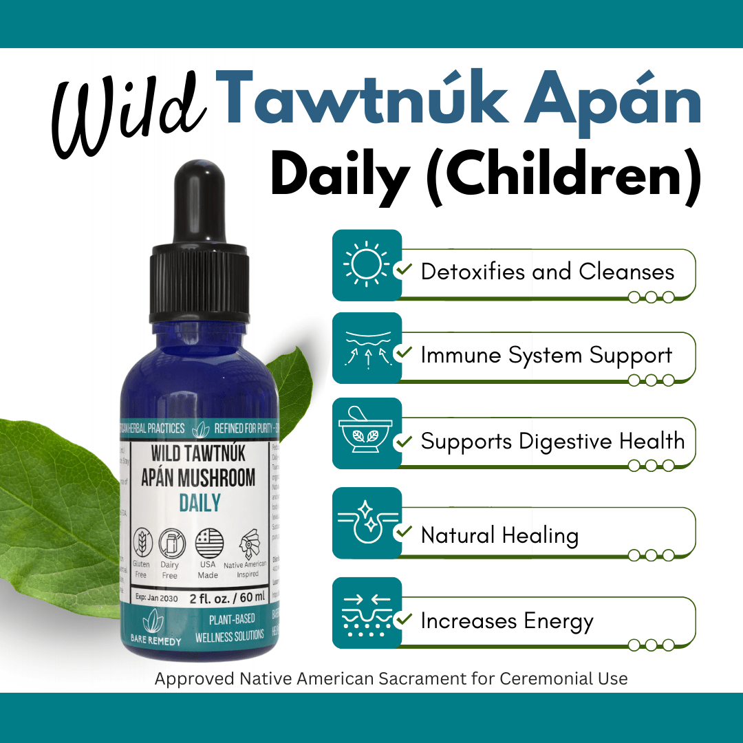 Wild Tawtnuk Apán Mushroom Daily (Children’s) – BareRemedy